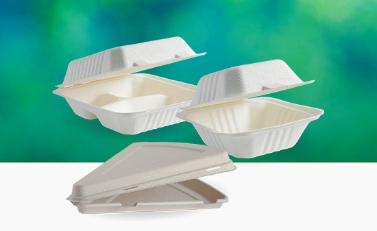 How to choose the right sugarcane containers for packaging your food ...