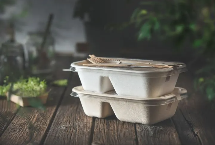 How to choose the right sugarcane containers for packaging your food ...
